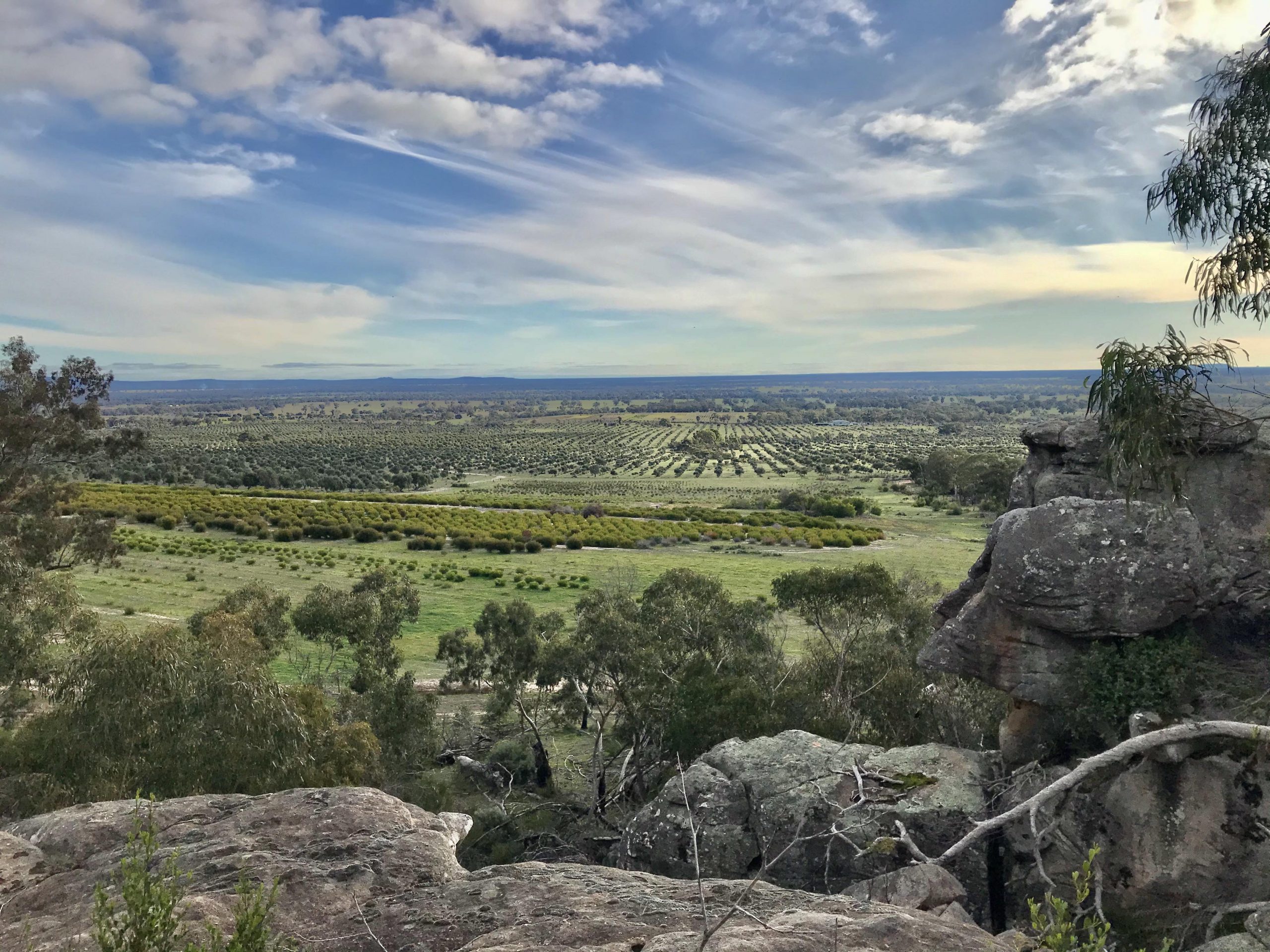 Between the Second and the Third – Borcho