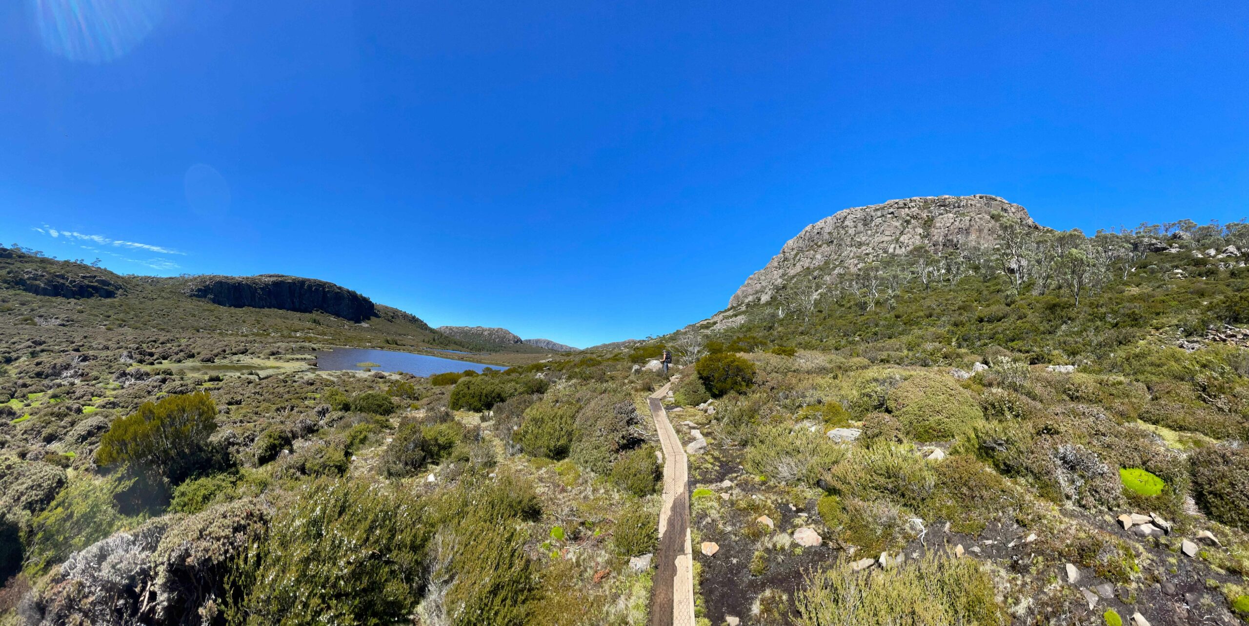 The Dicks of Jerusalem – Borcho